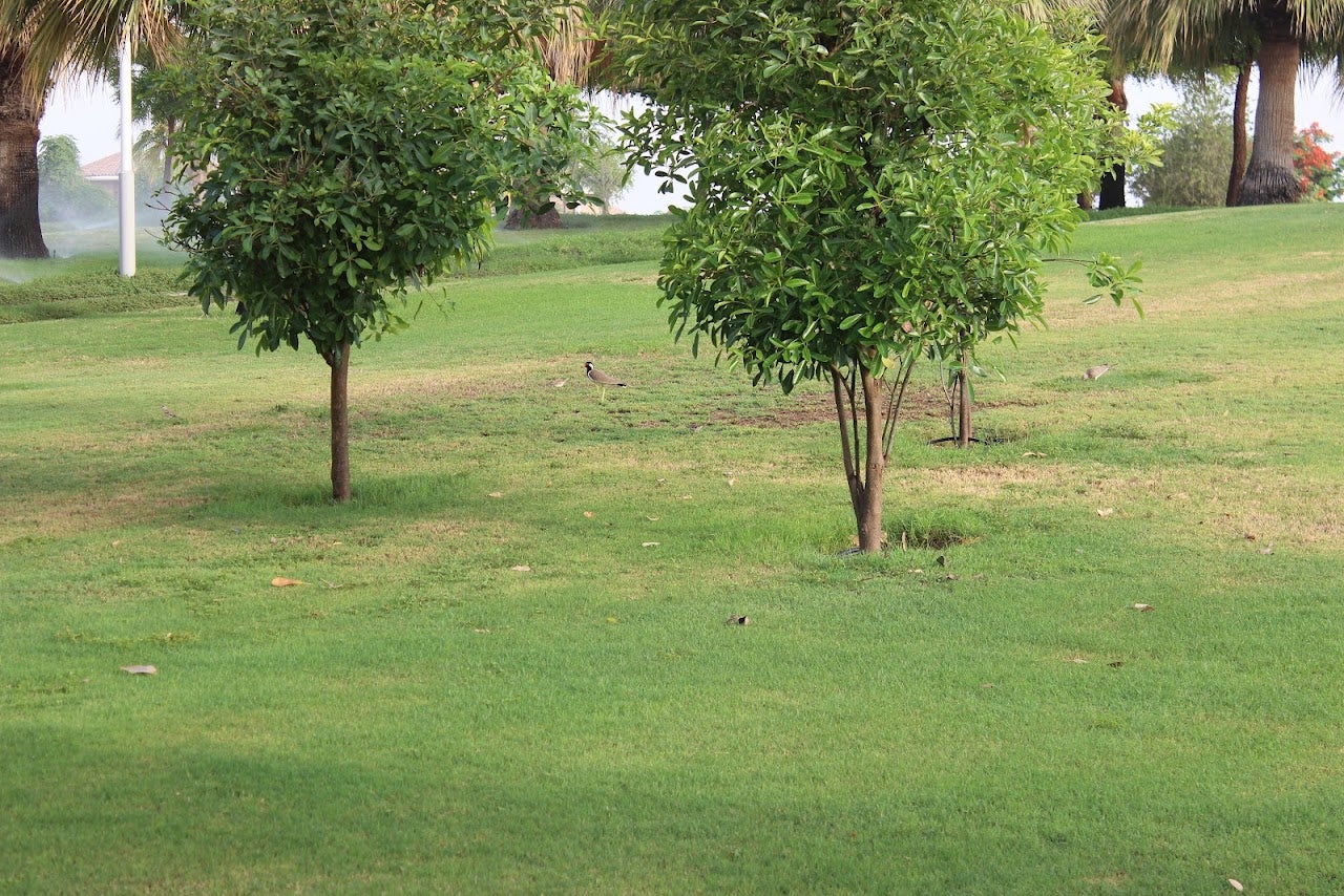 Al Warqa 3 Park | SIP